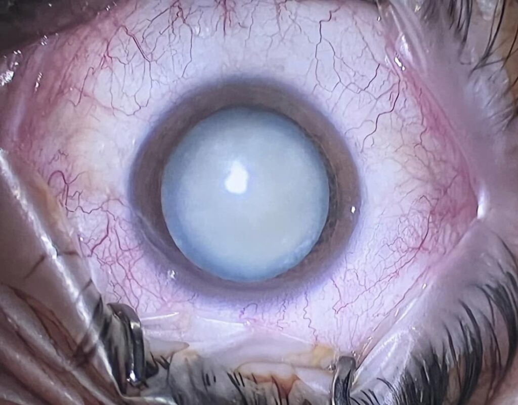 Clinica oftalmologică Oculus București